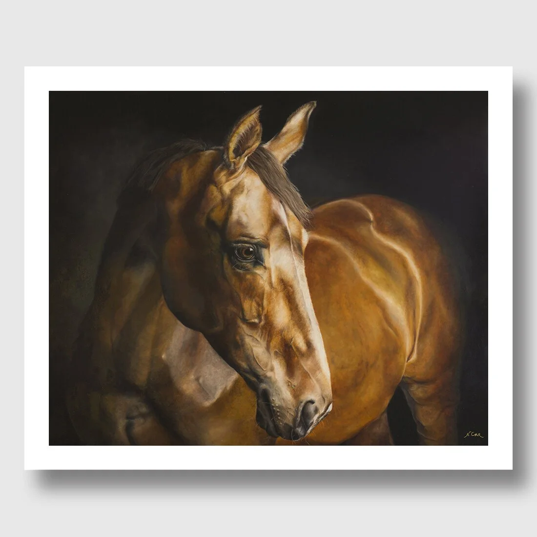 The Print Collection — Nikki Carr Artist