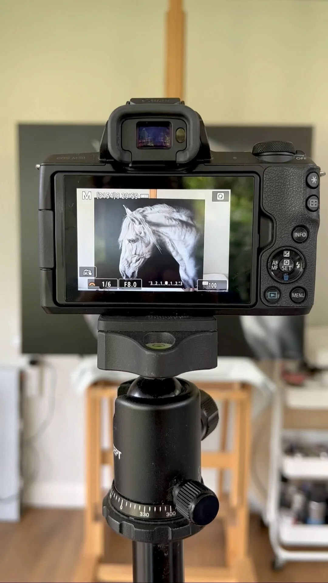 Become a Studio Insider — Nikki Carr Artist