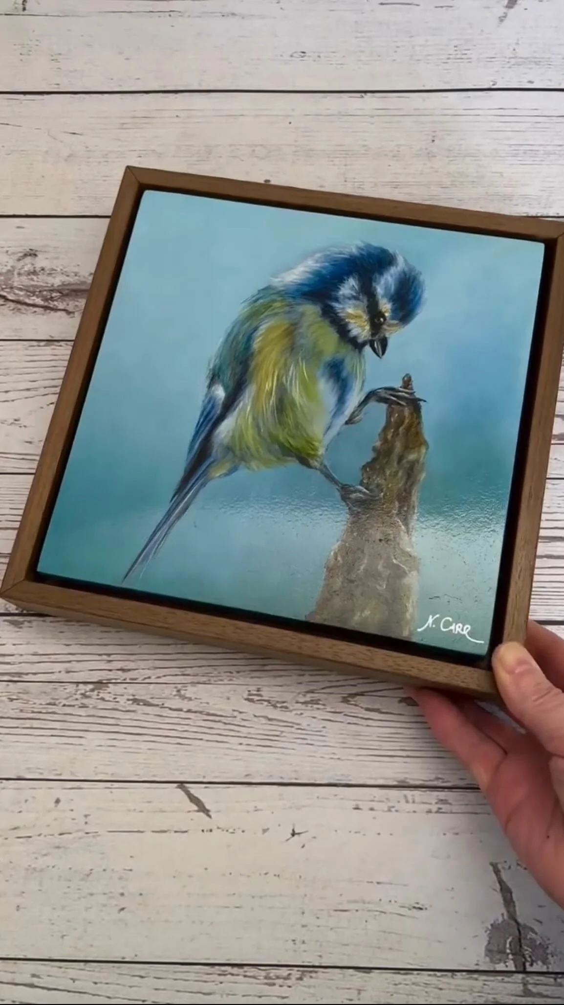 Portfolio — Nikki Carr Artist