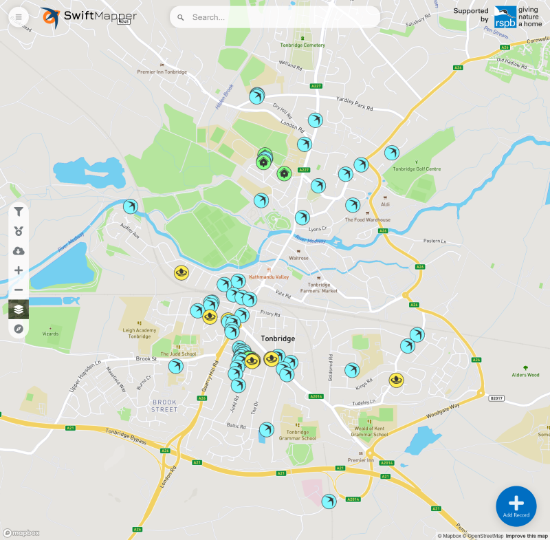 How You Can Help — High Weald Swifts