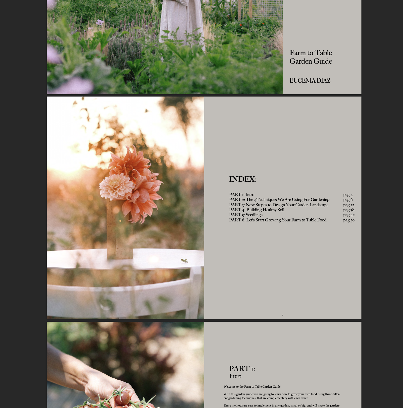 Cookbooks Garden Guides Eugenia Diaz Cookbooks Garden Guides Eugenia Diaz