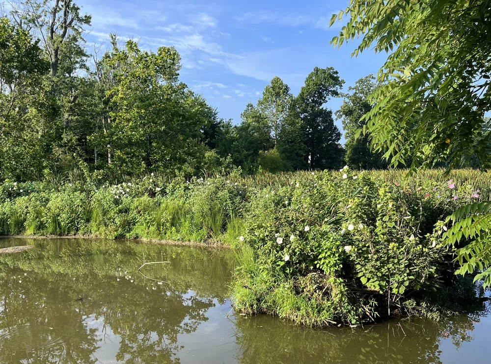 General 6 — Oldham County Conservation District