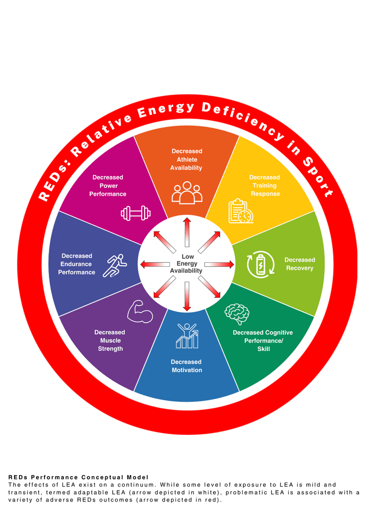 What is REDs? — REDinSport