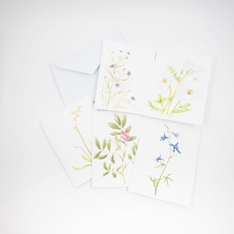 Shop Botanical Art — Rose Torres Art