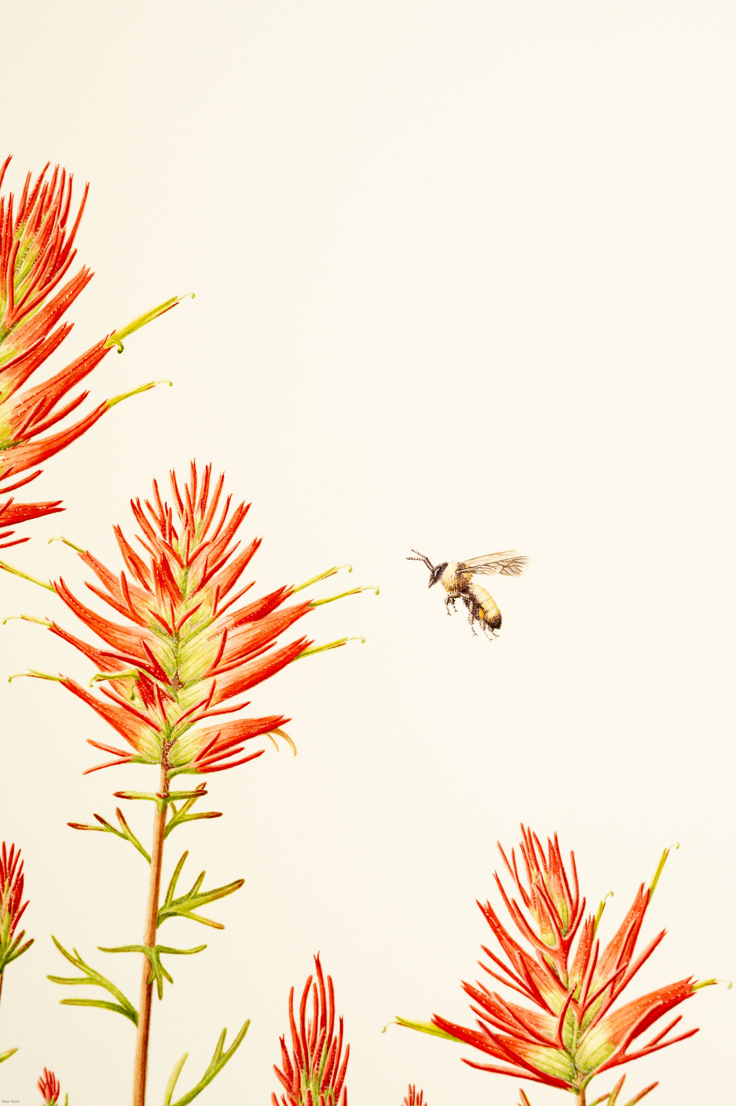 Paintbrush — Rose Torres Art