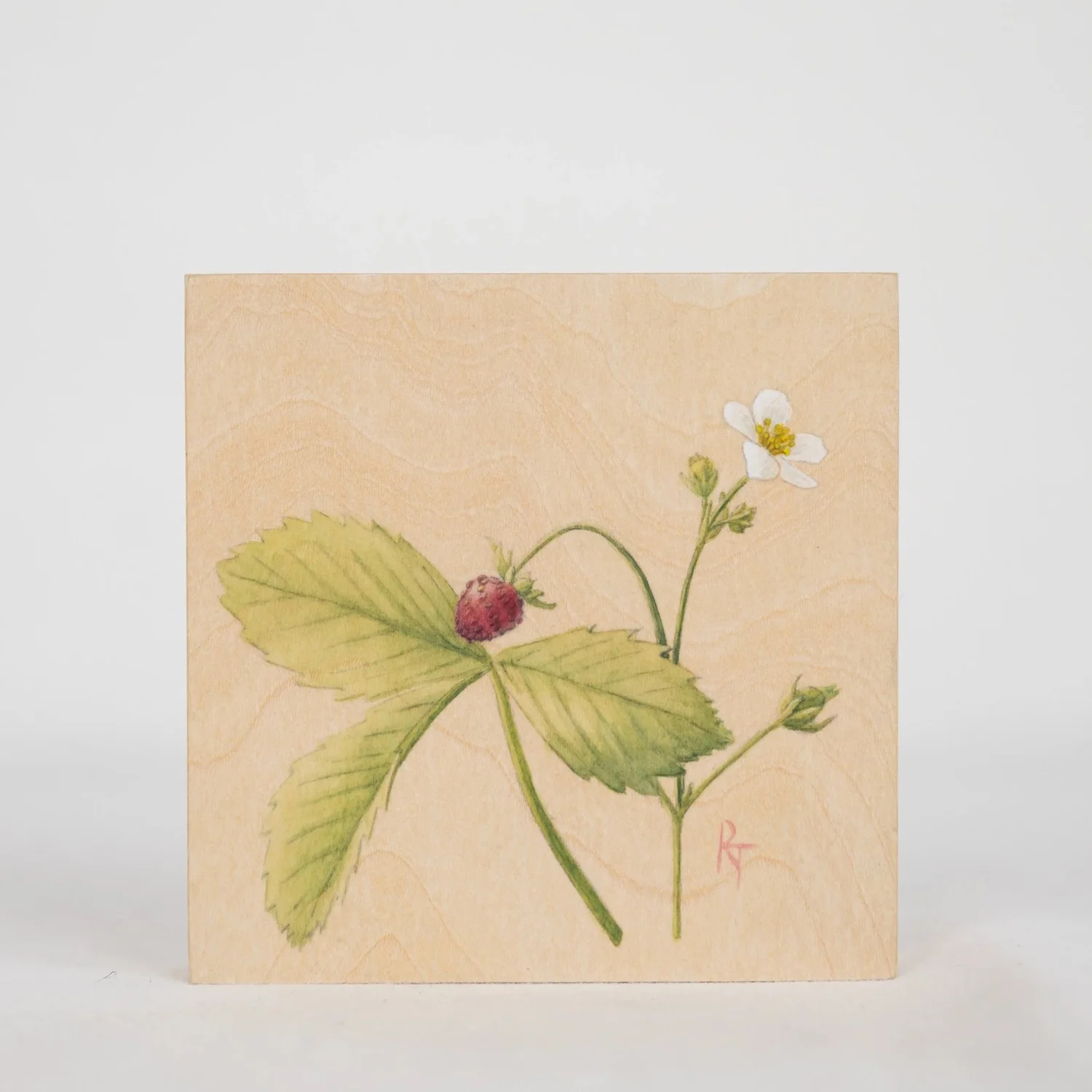 Store 2 — Rose Torres Art