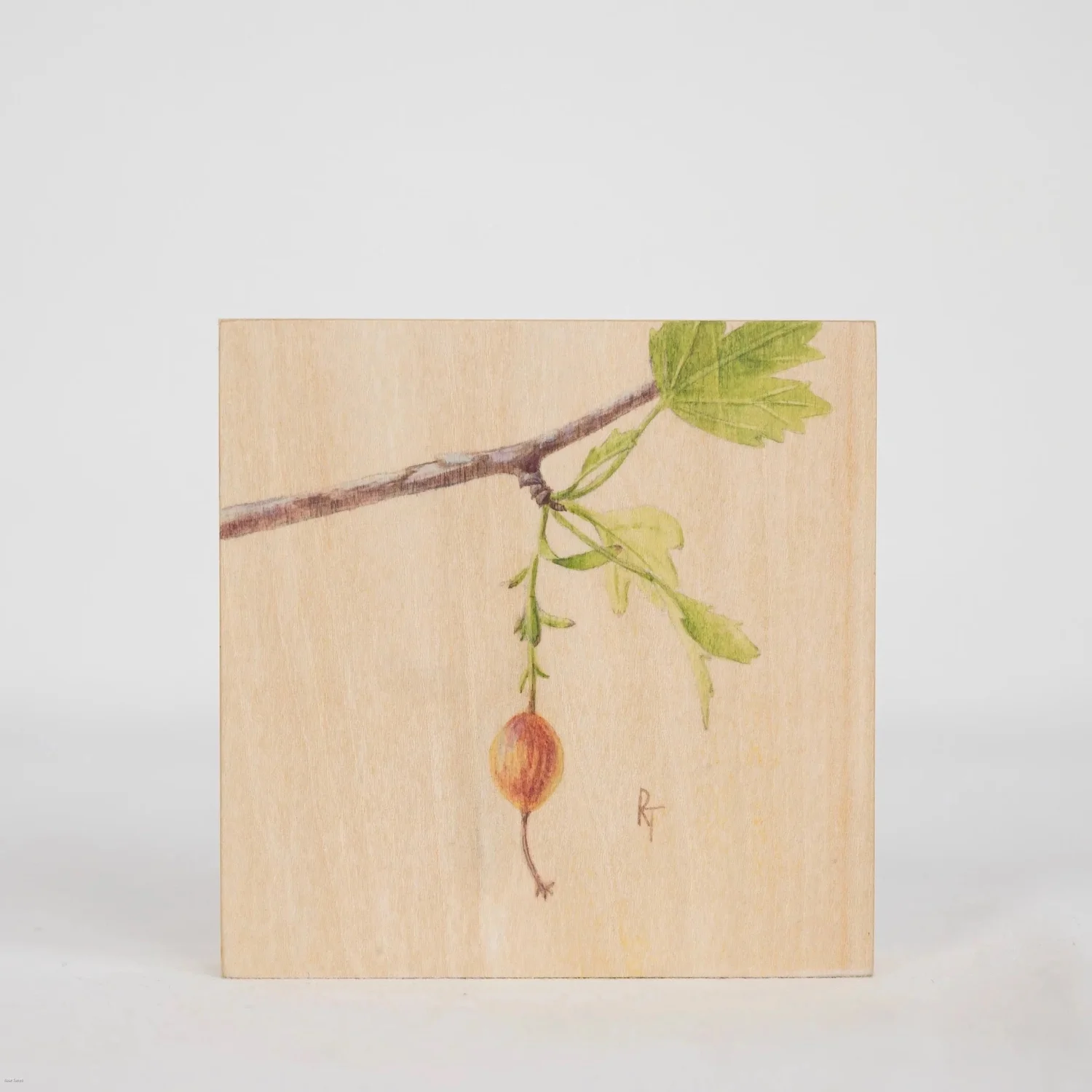 Store 2 — Rose Torres Art