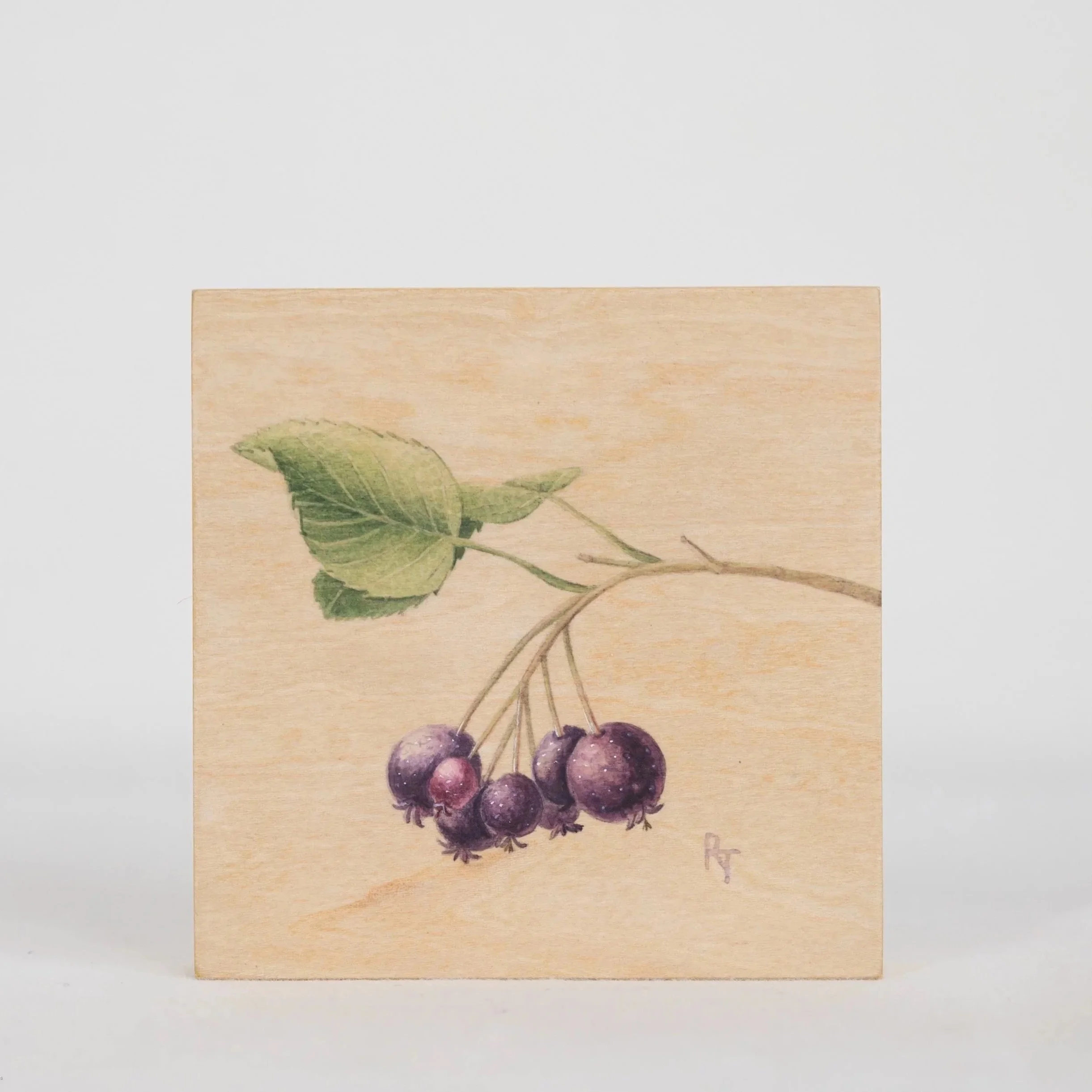 Store 2 — Rose Torres Art