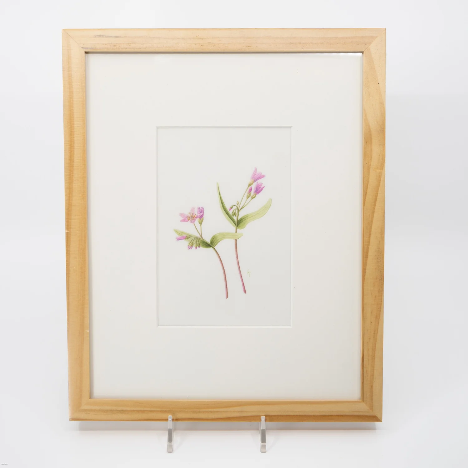 Store 2 — Rose Torres Art