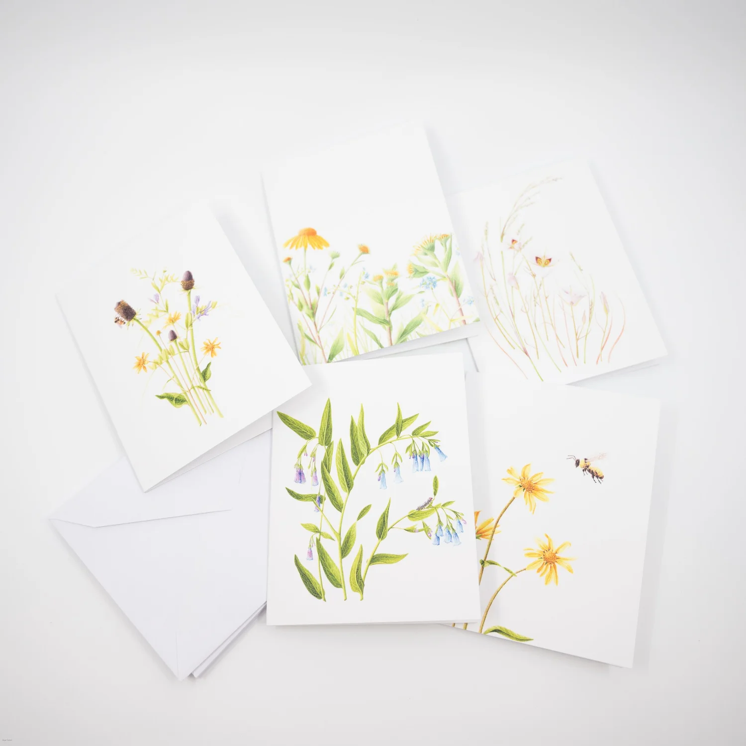 Shop Botanical Art — Rose Torres Art
