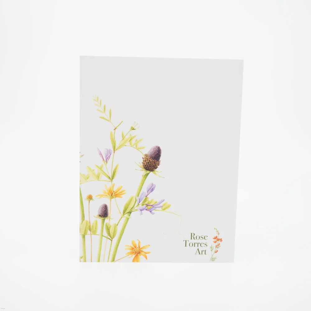 Shop Botanical Art — Rose Torres Art