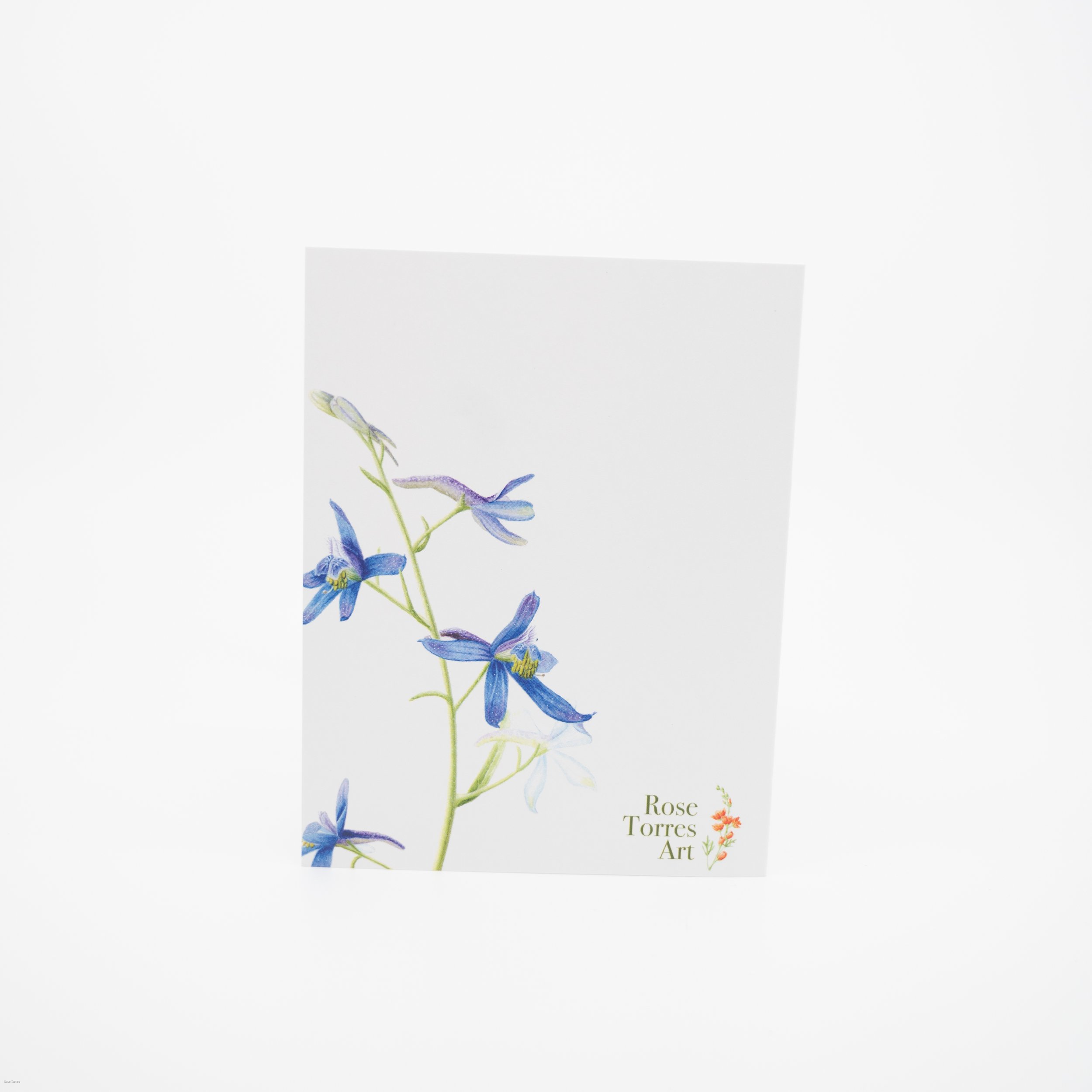 Shop Botanical Art — Rose Torres Art