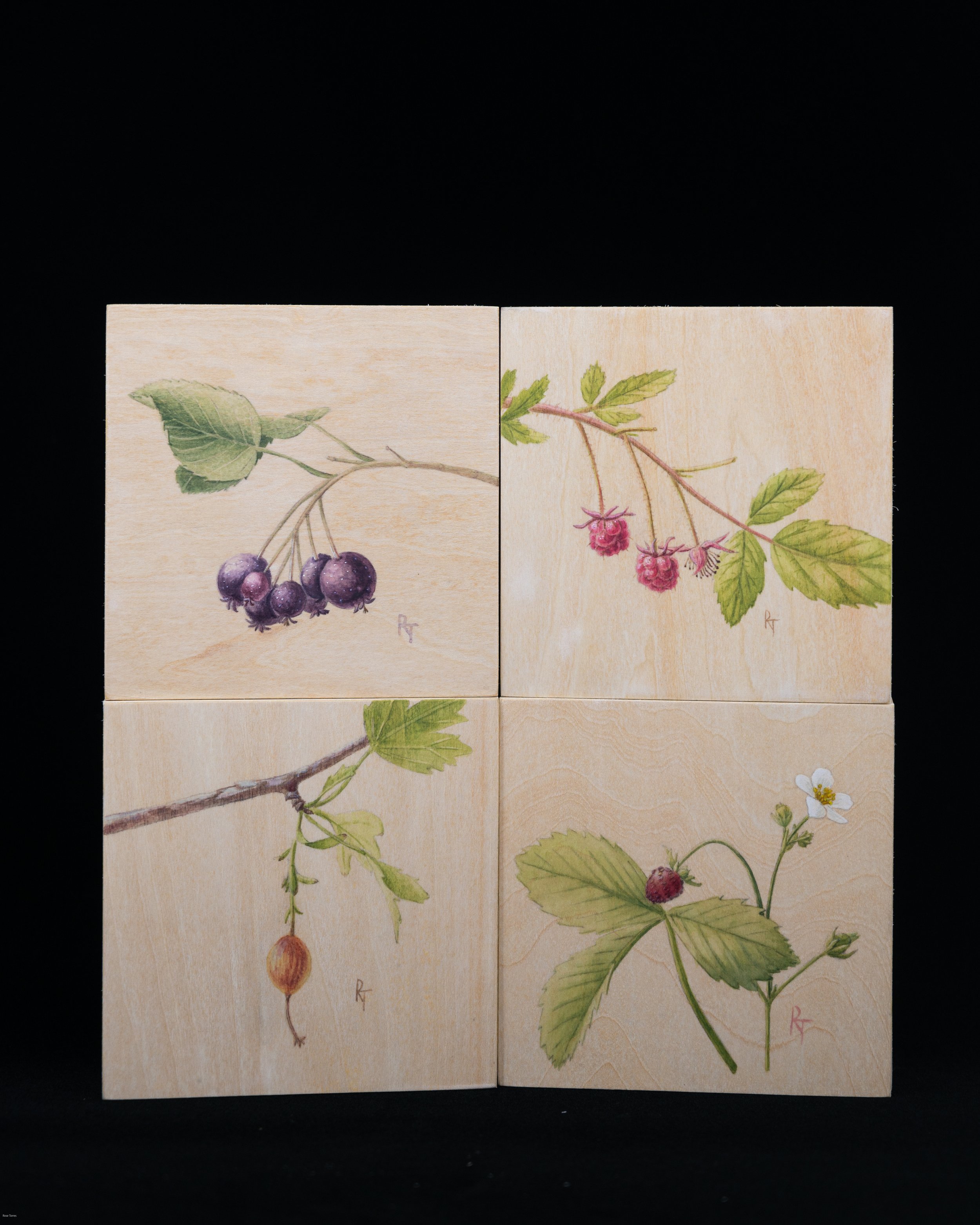 Store 2 — Rose Torres Art