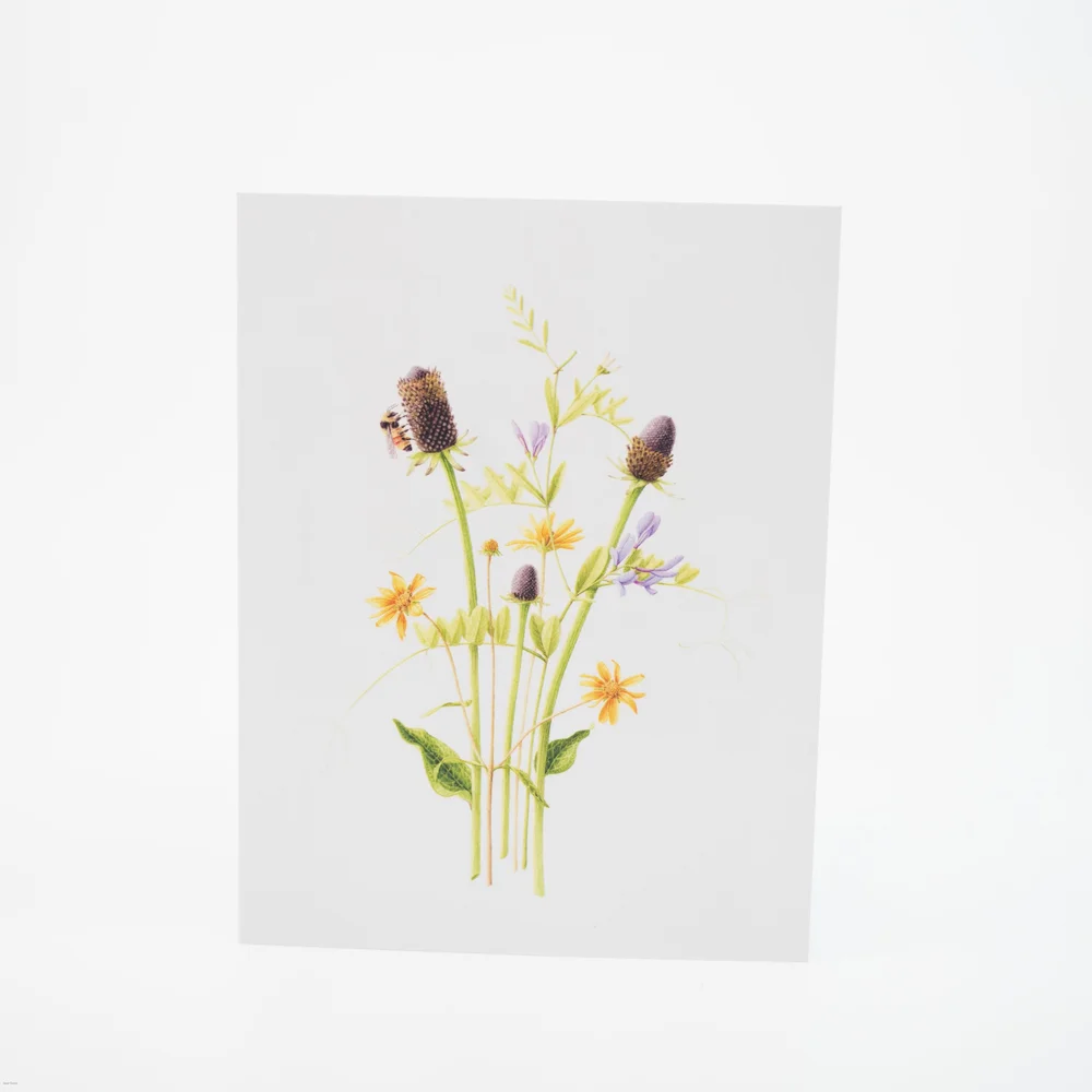 Shop Botanical Art — Rose Torres Art