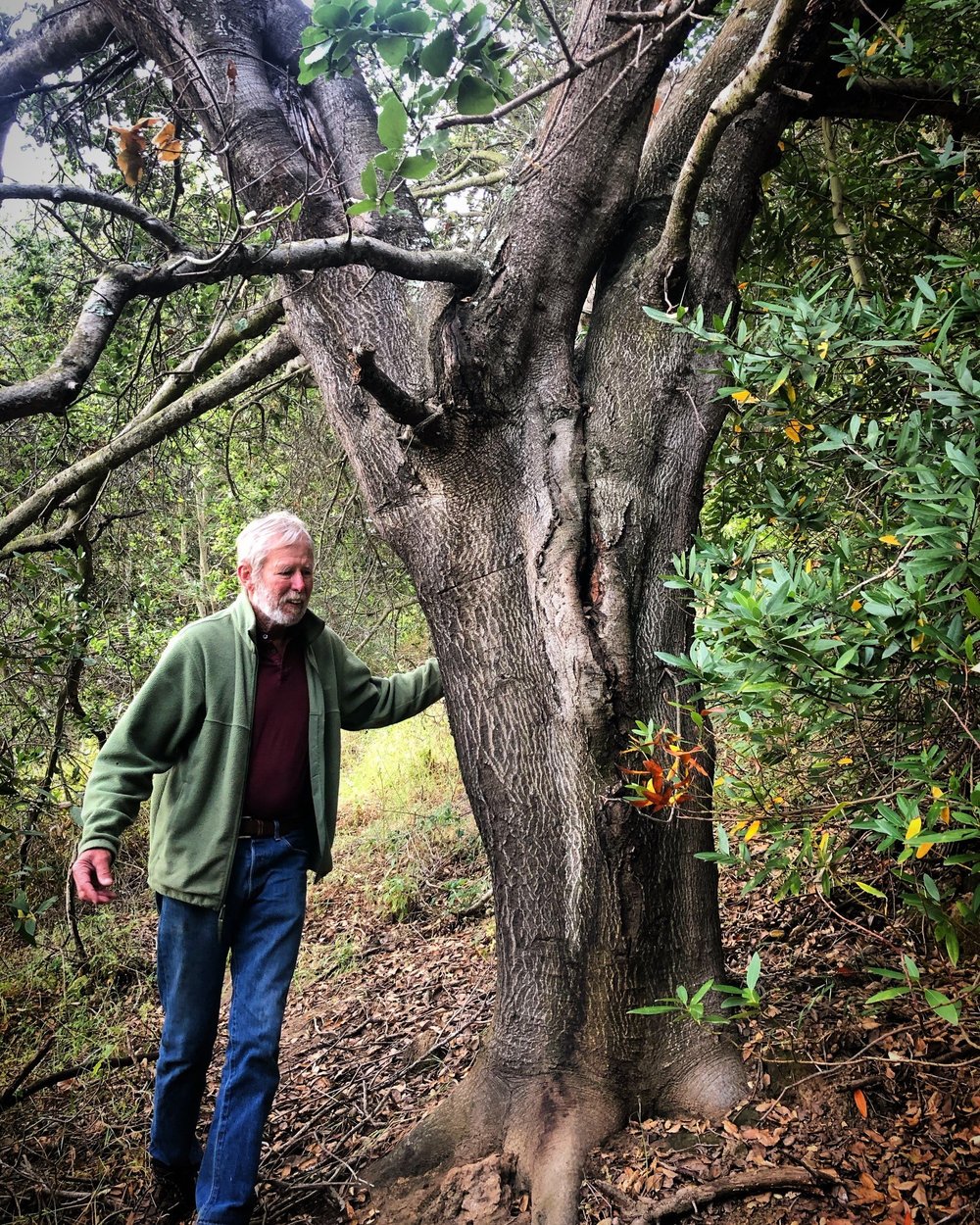 Our Instructors — SBCA Tree Consulting