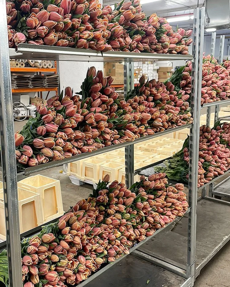 New York Flower Group