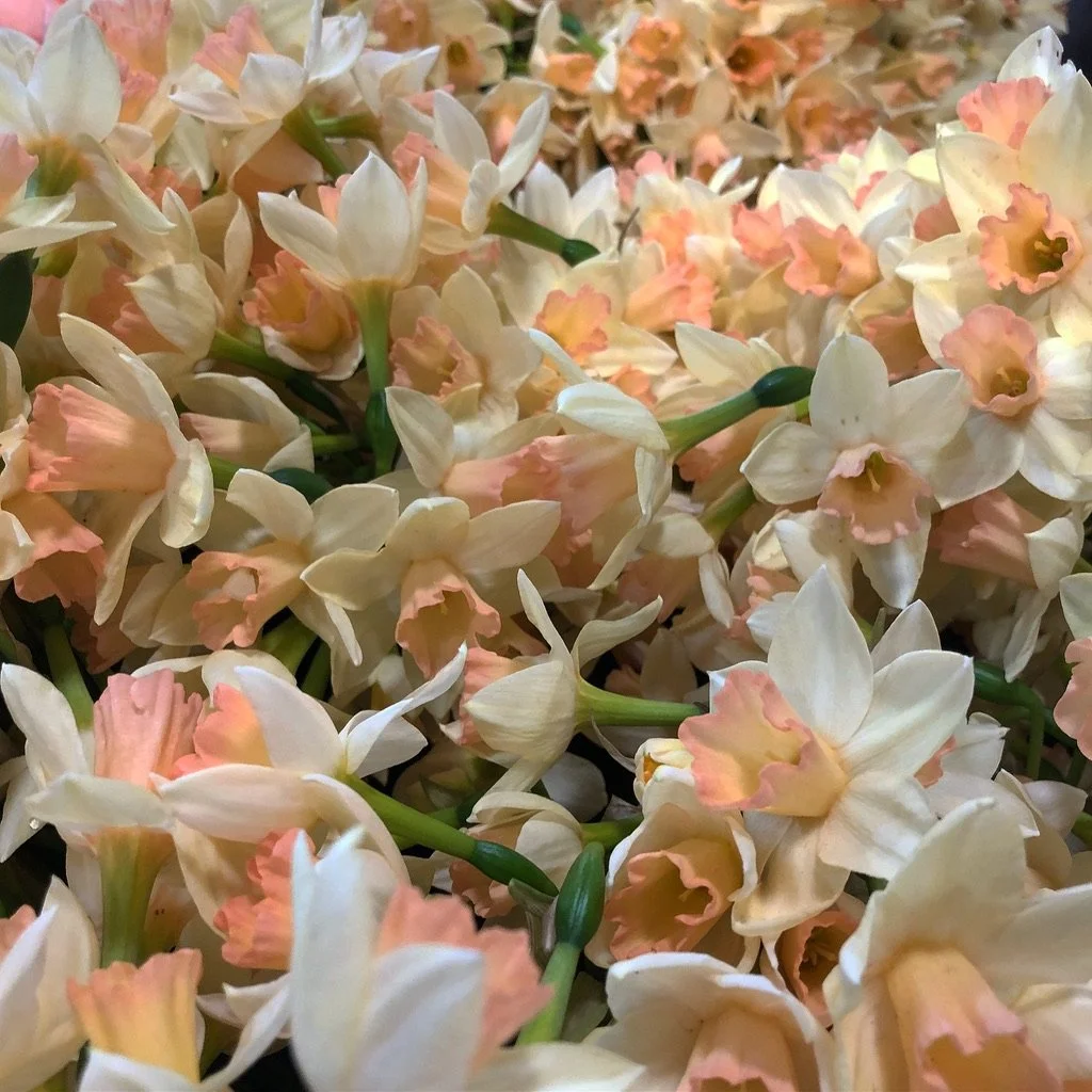 New York Flower Group