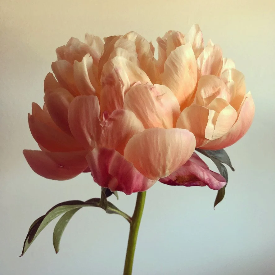 New York Flower Group