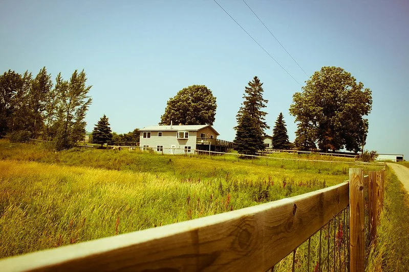 The Great Homestead Debate — Grow Well Consulting