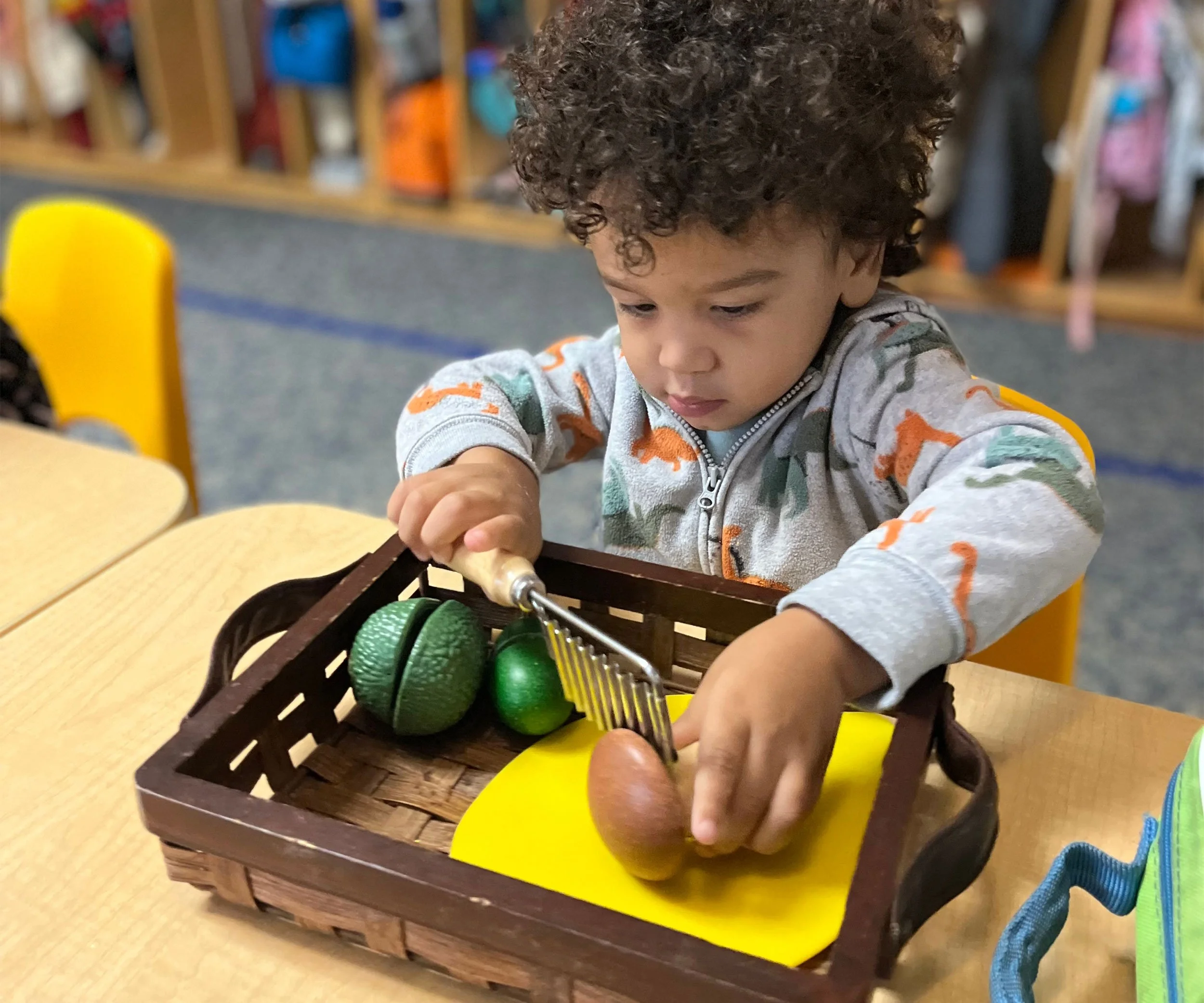 The Toddler Program — Tuckahoe Montessori School