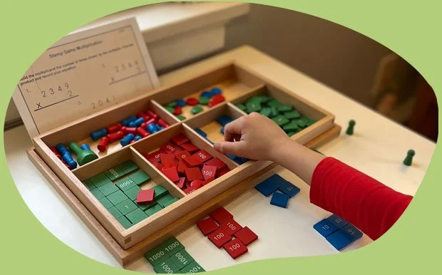 The Elementary Program — Tuckahoe Montessori School