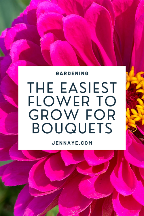 Growing Zinnias from Seed: An Easy Cut Flower Garden Idea