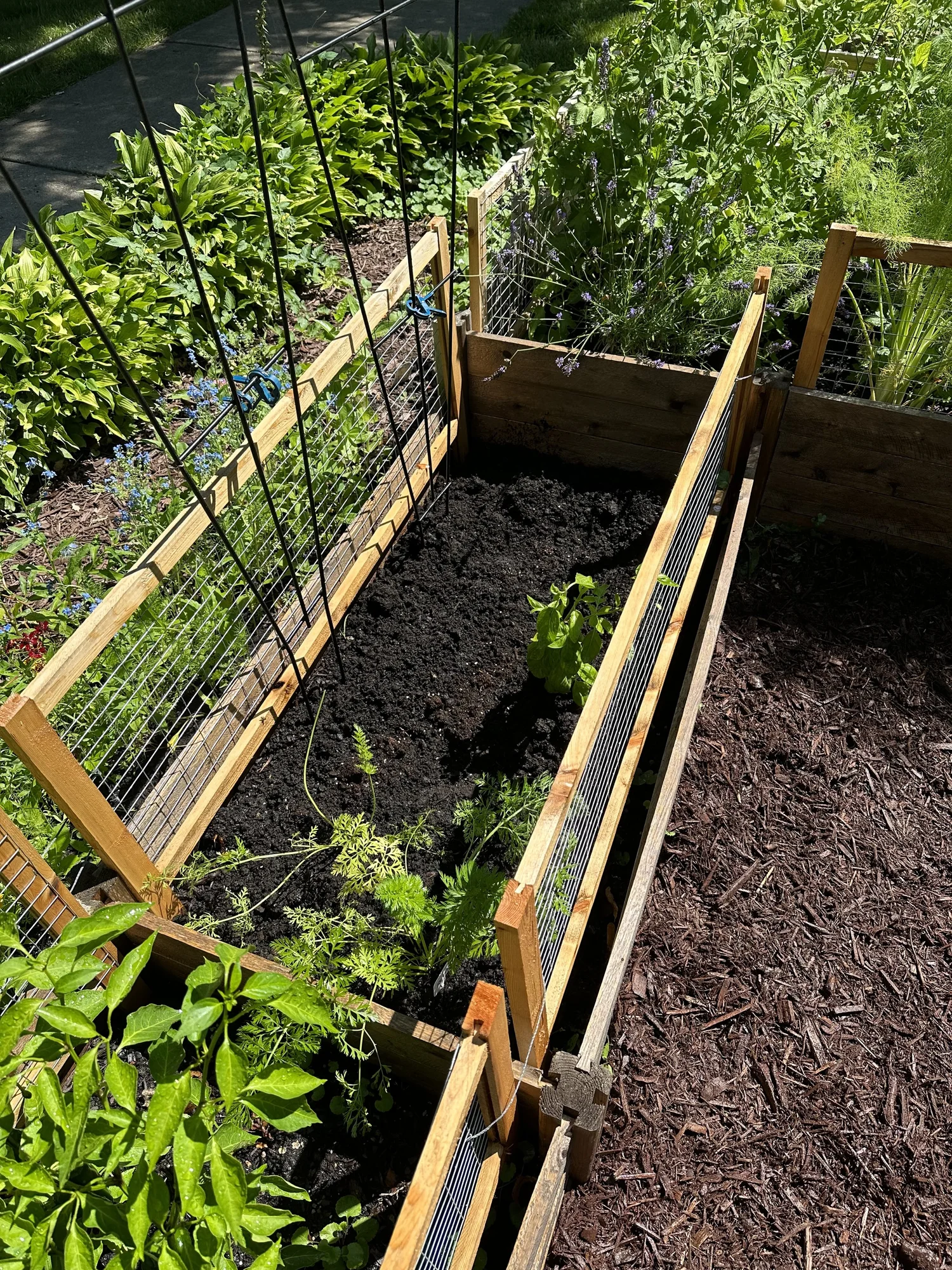 TopSoil vs. Fill Dirt - Which Do You Need for Your Garden?