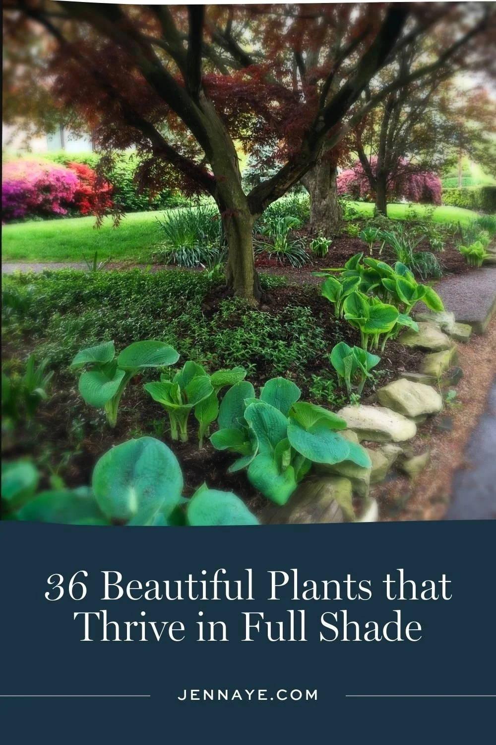 36 Beautiful Plants that Thrive in Full Shade