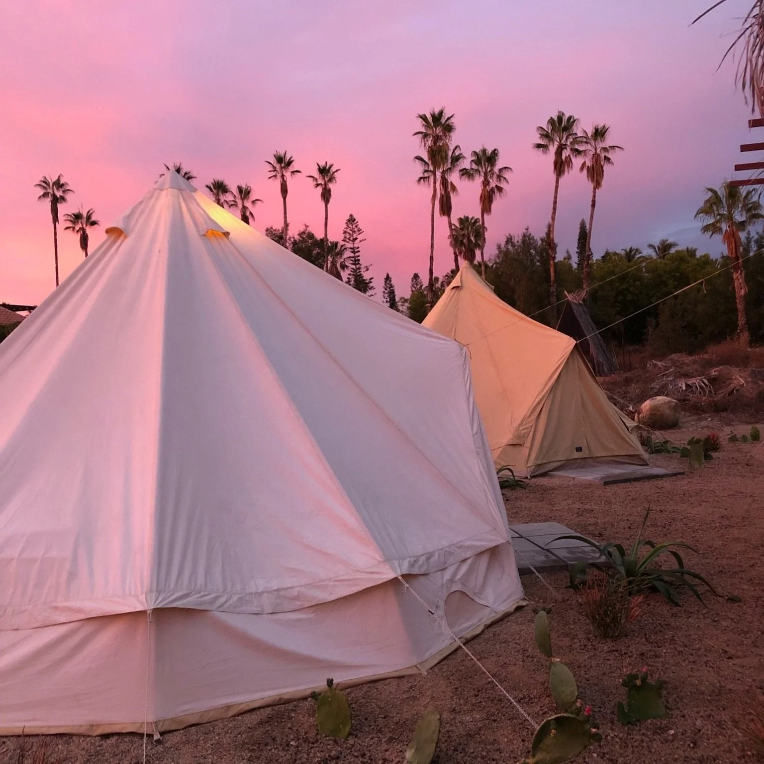 The Property Todos Santos Retreats