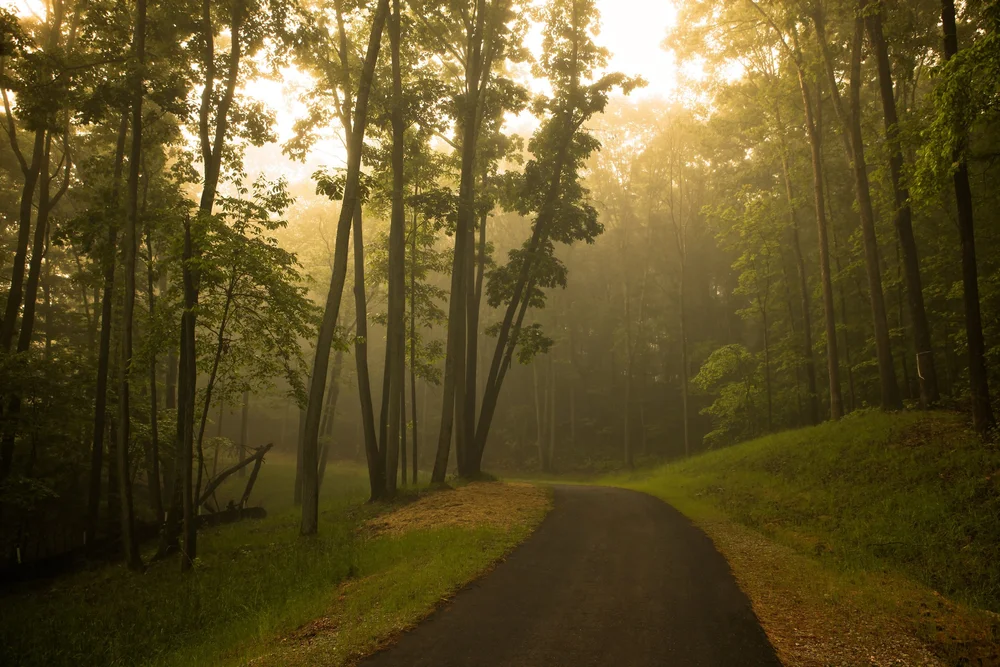 Walking Trails — Ladd Landing - Tennessee Real Estate