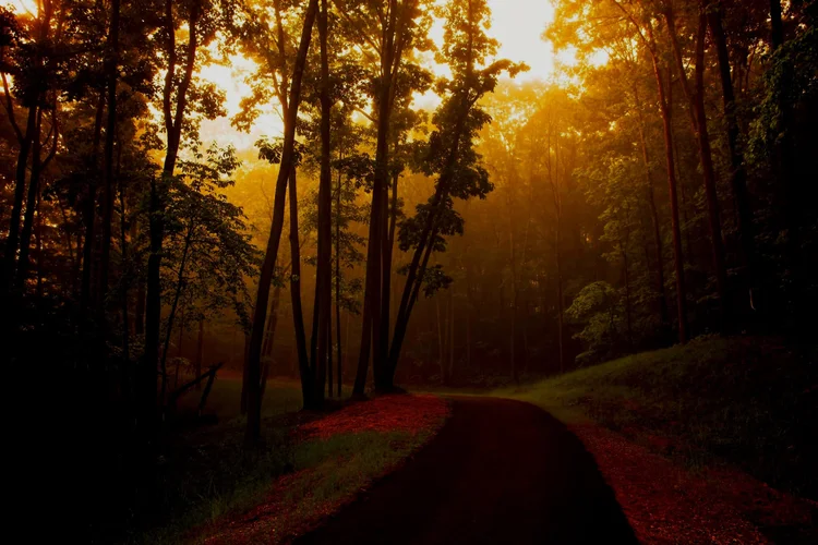 Ladd Landing - Gallery — Ladd Landing - Tennessee Real Estate