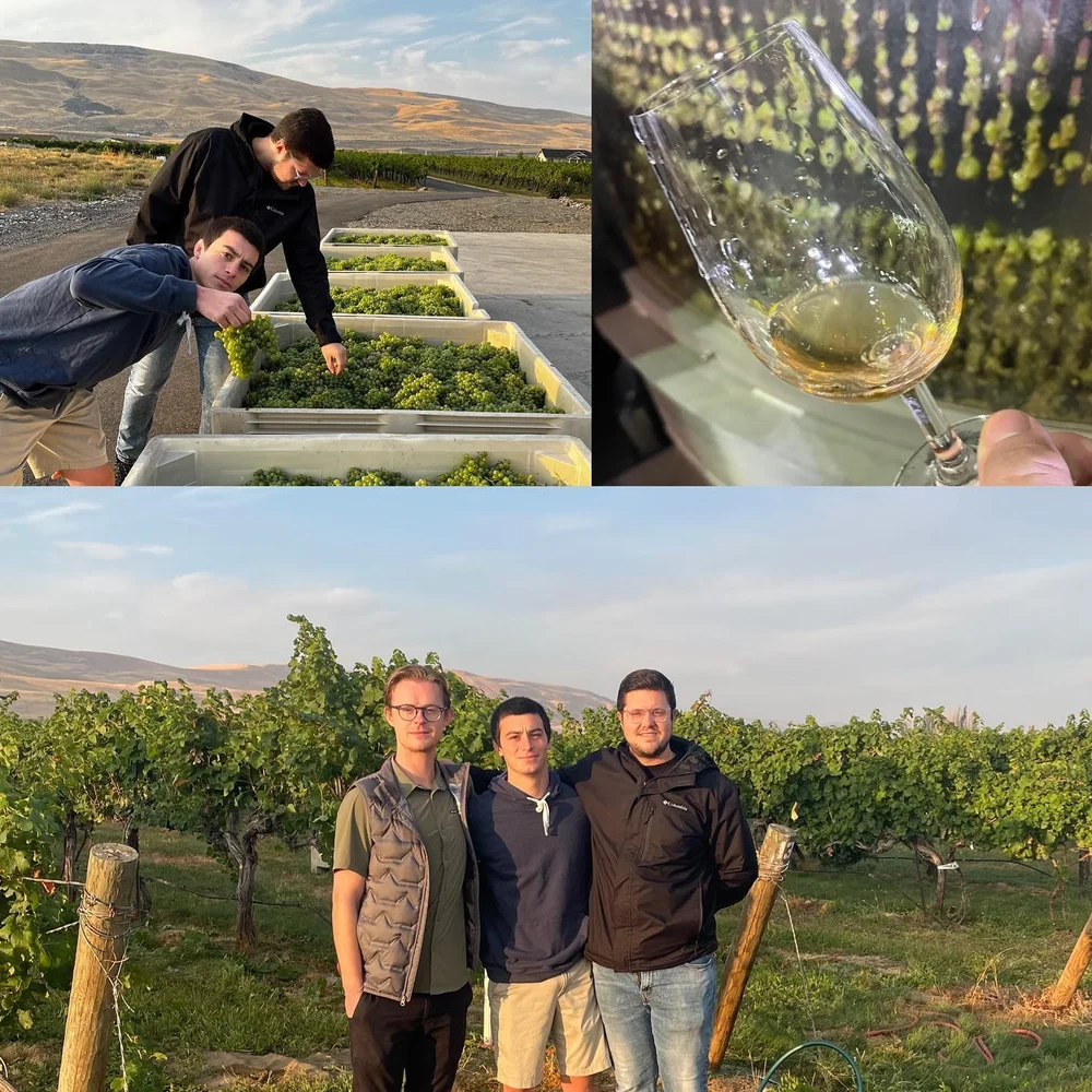 Learn About the Wineries While Exploring Wine Country — Northwest Portal