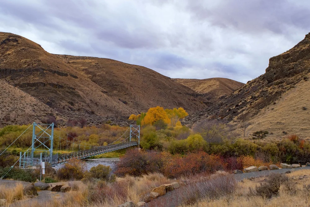 Discover Something New — Northwest Portal