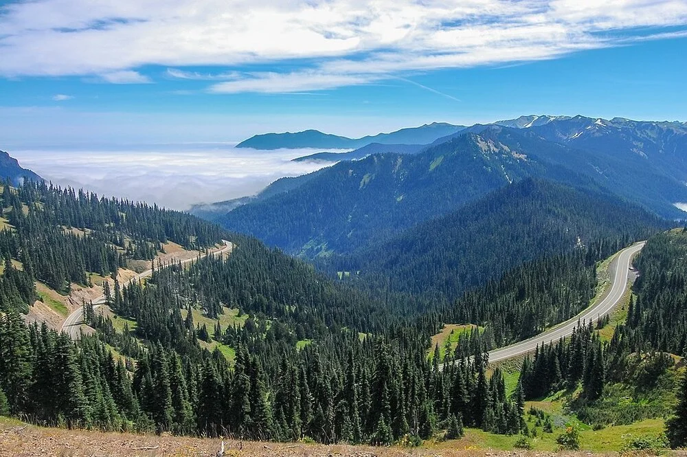 5 of the most scenic Washington Views that are just steps from your ...