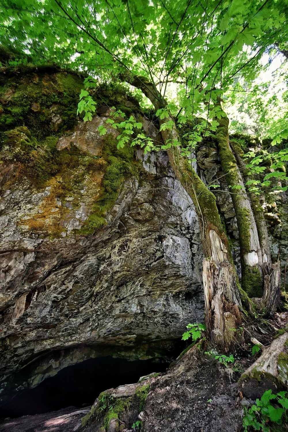 Explore Four Caves in Washington State — Northwest Portal