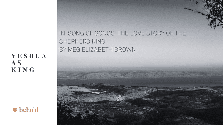 The Behold Blog | Explore with Insight — The Behold Collective