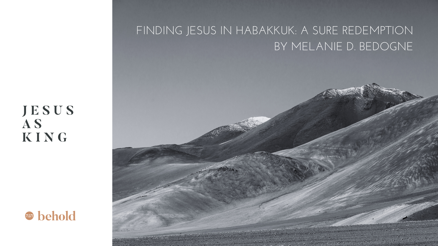 Jesus in the Book of Habakkuk: A Sure Redemption — The Behold Collective
