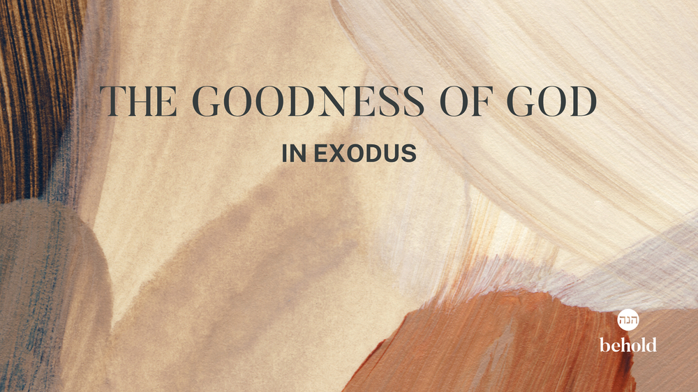 The Goodness of God in Exodus — The Behold Collective