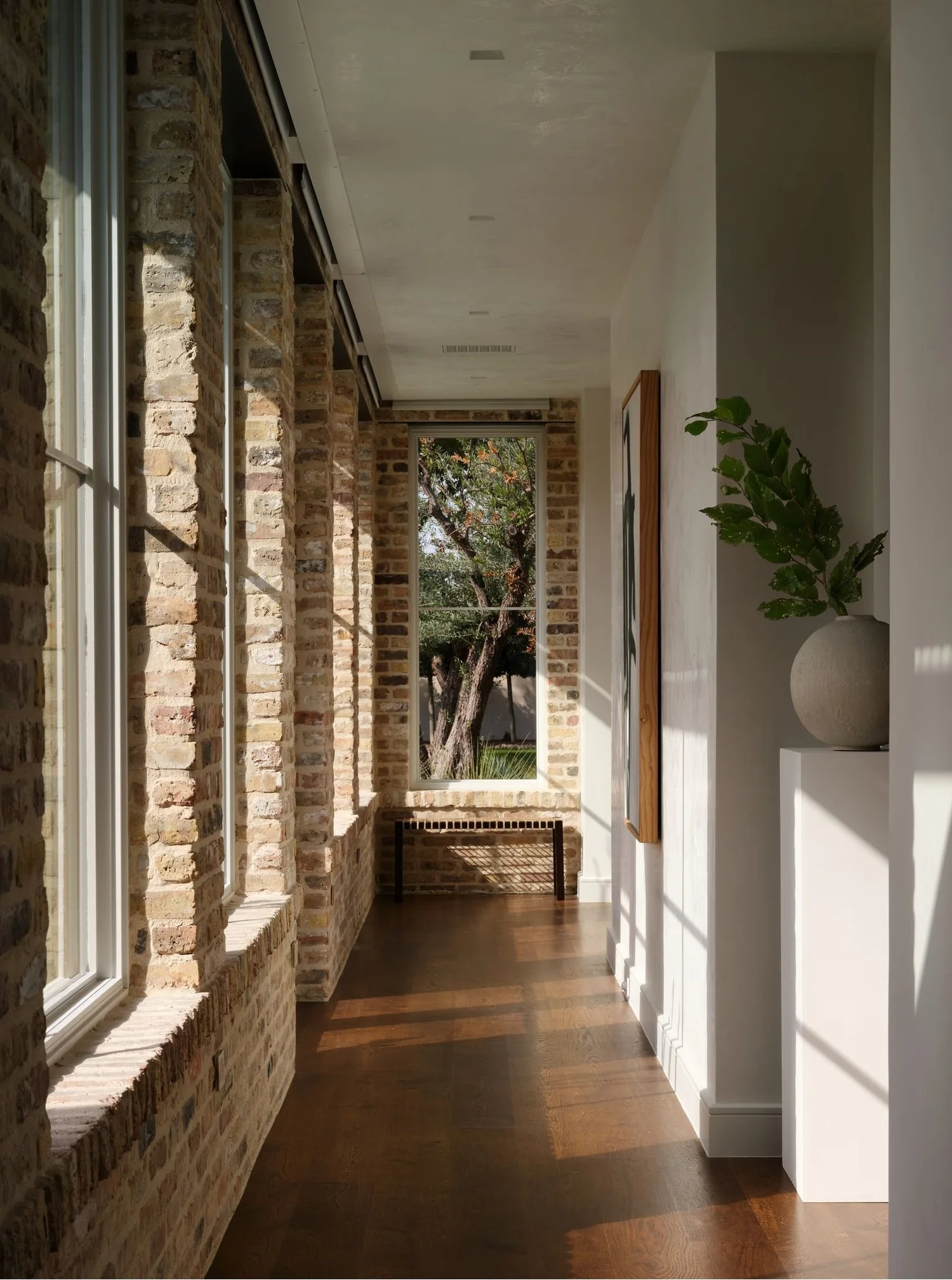 Primrose — Studio Seiders