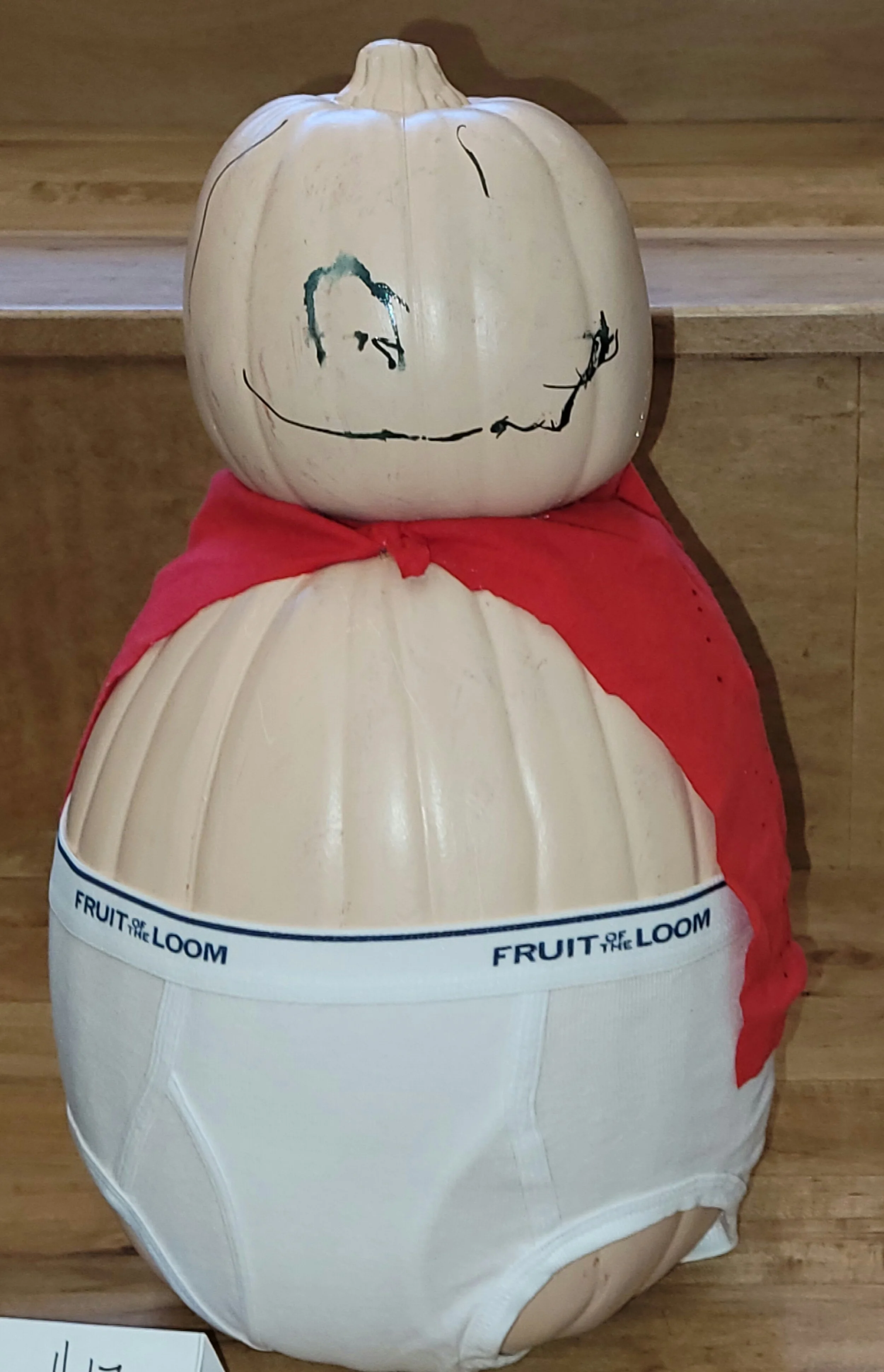 Storybook Pumpkin Decorating Contest Winners — Wolf Ranch Elementary PTA