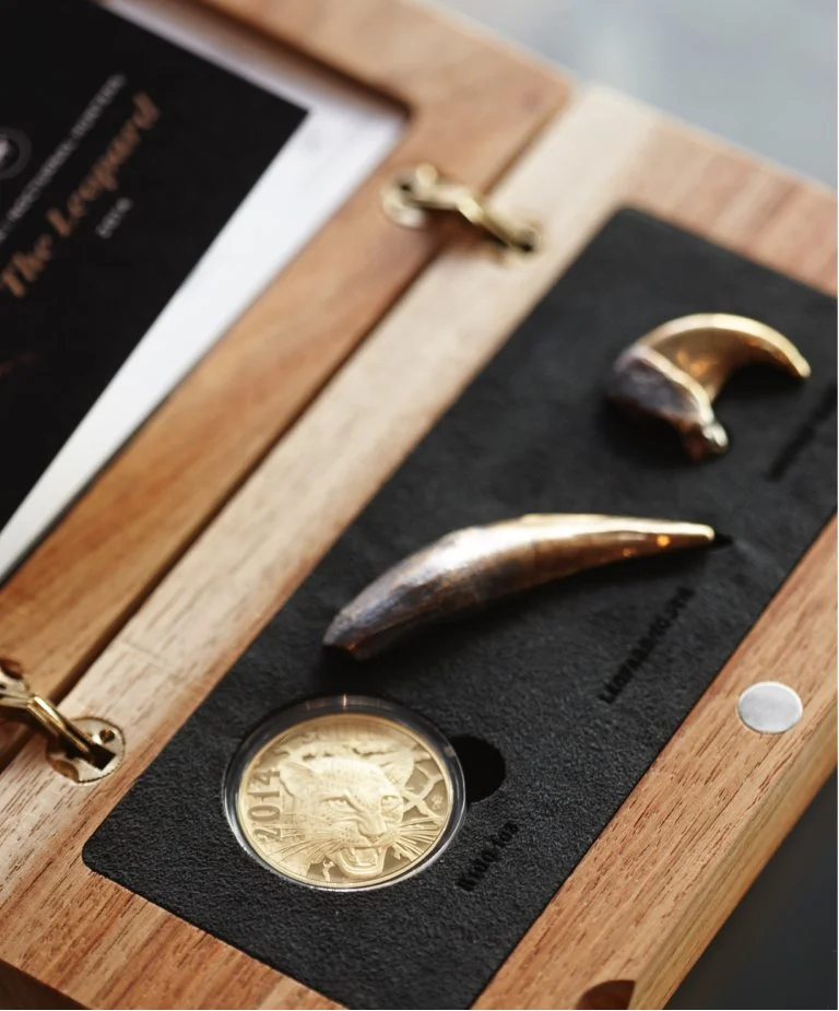 Natura Nocturnal Hunters Series — Breinstorm Brand Architects