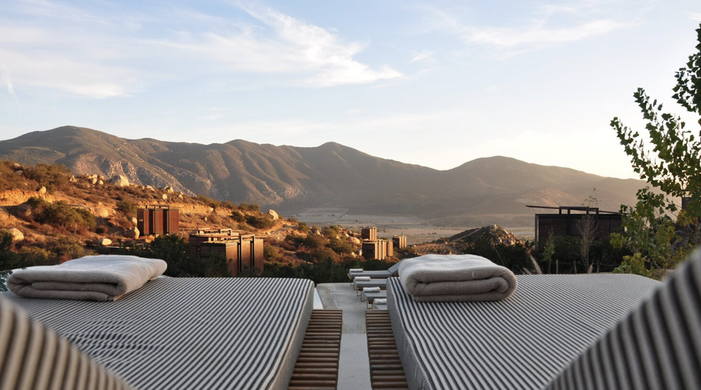 Everything You Need to Know About Hotel Feasibility Analysis