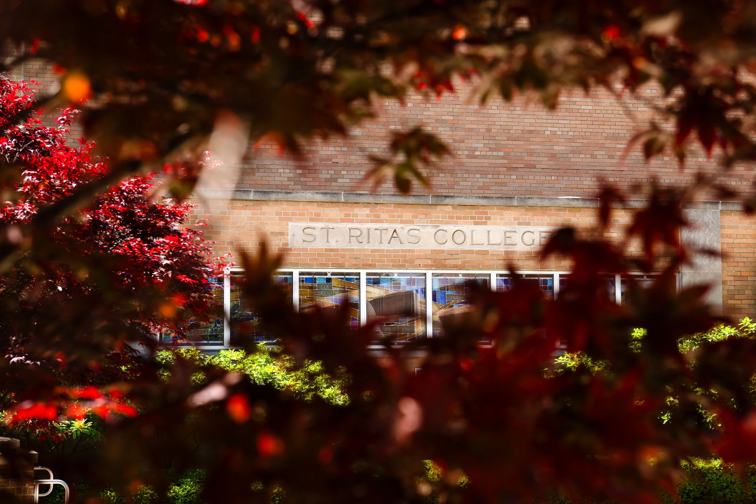 Aid & Scholarships — St Rita High School