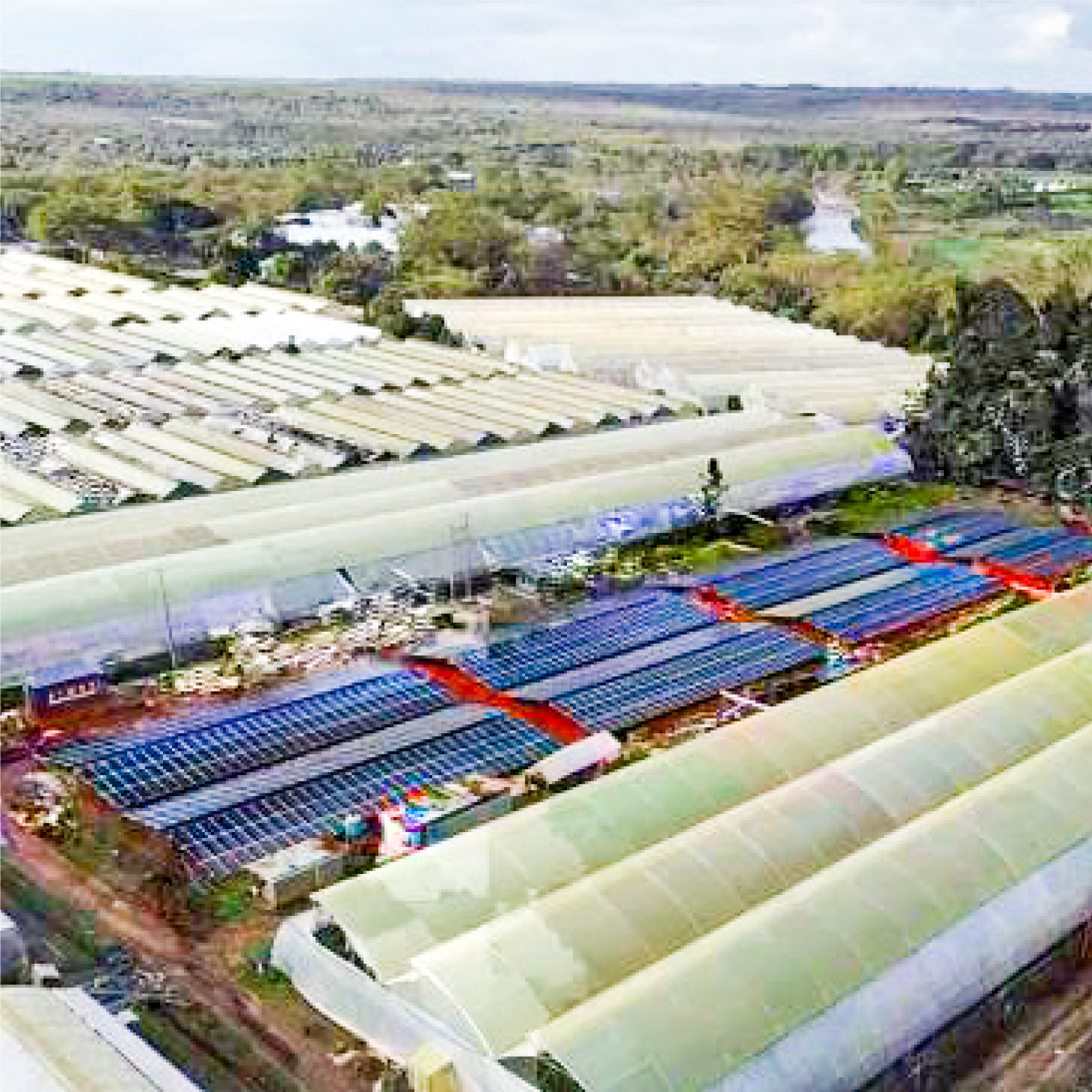 Projects — GridX Africa