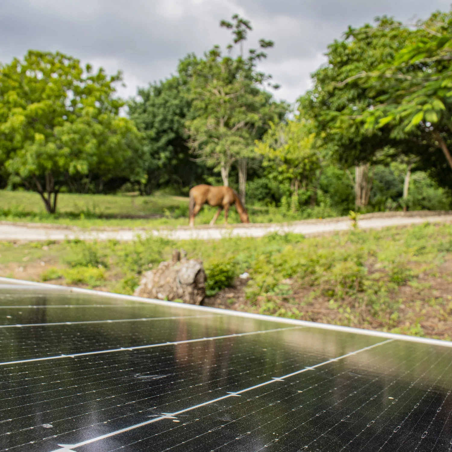 Projects — GridX Africa