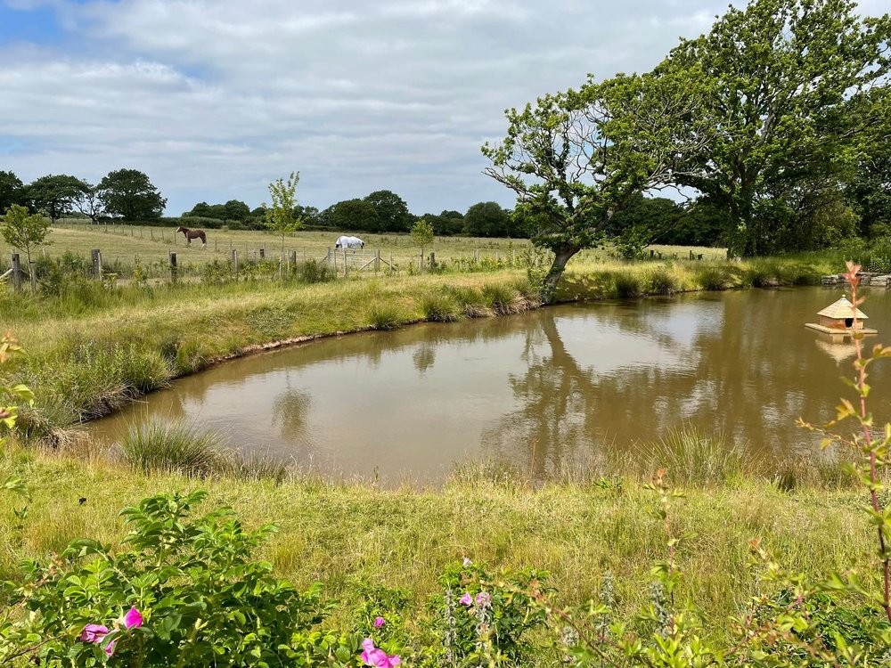 Howe Brook Equine Fitness & Therapy