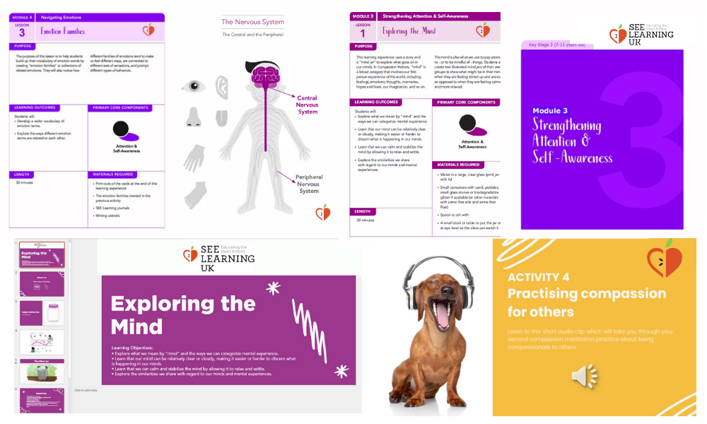 General 2 — SEE Learning UK