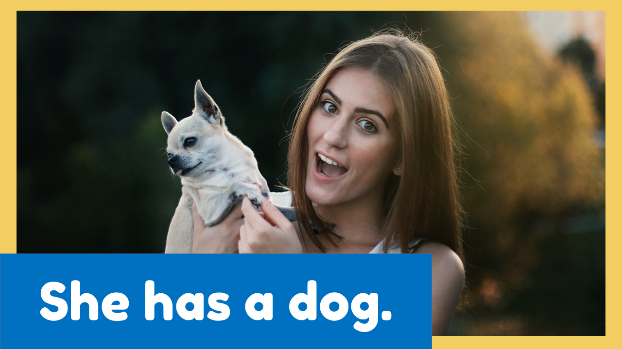 Pets - Domestic Animals English Class Guessing Game — Premade ESL Games