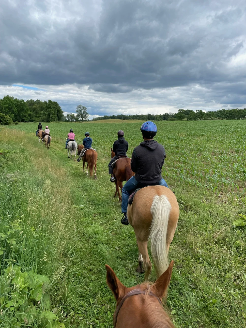 Trail Rides — The Nunda Ranch Resort & Venue