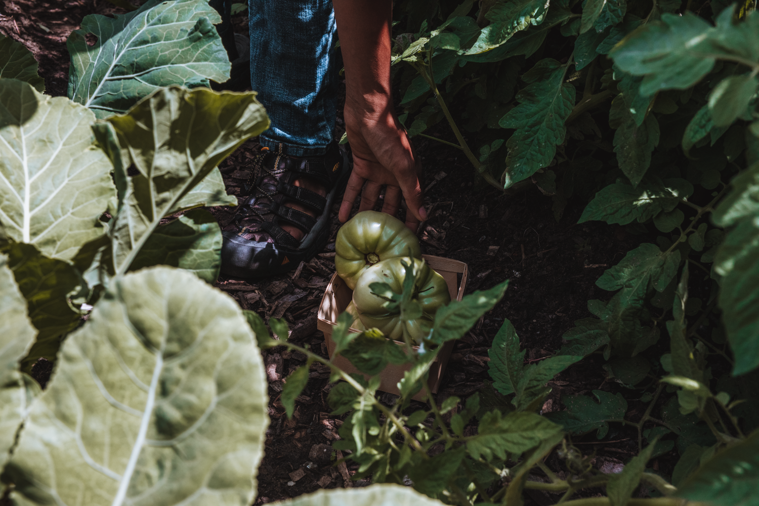 Deeply Rooted Produce | High Quality Produce | Detroit, MI